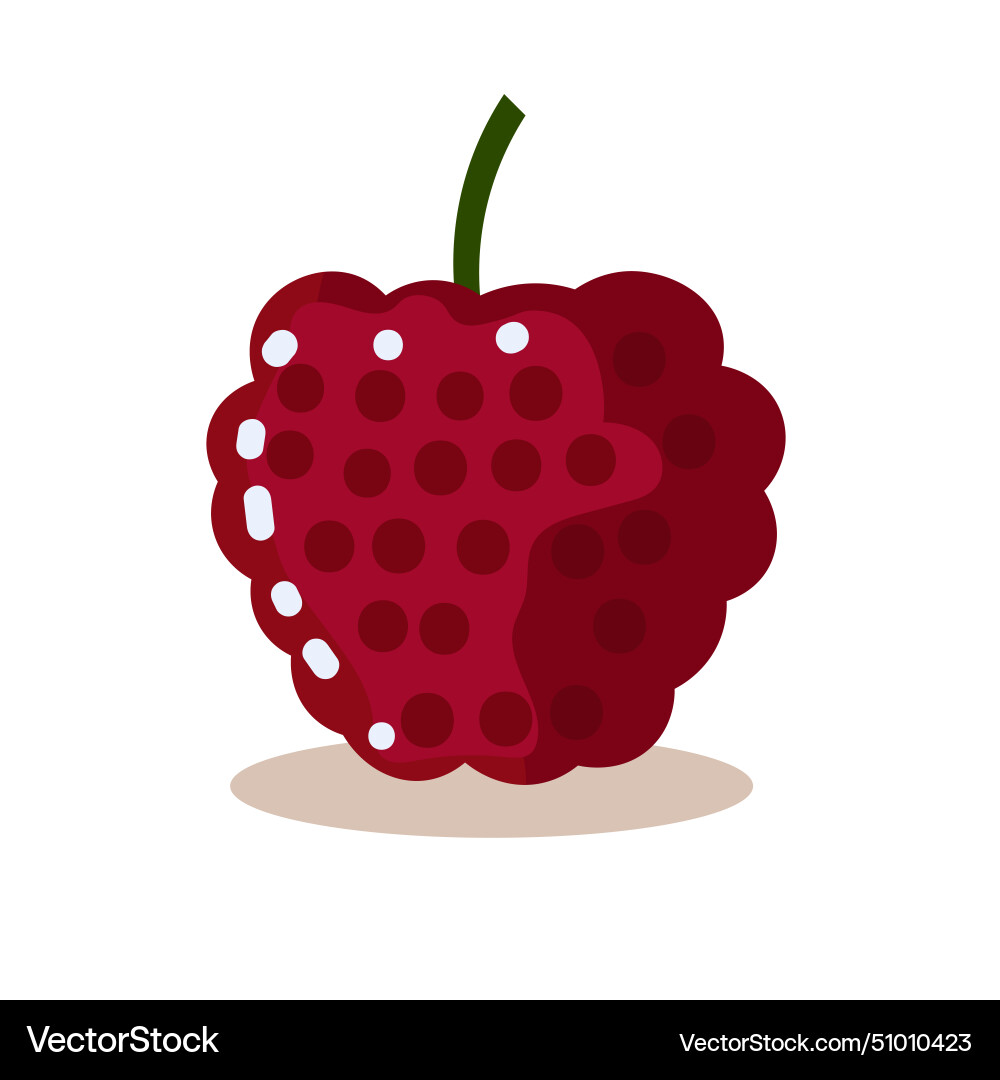 Grape flat icon buah anggur or grapes Royalty Free Vector