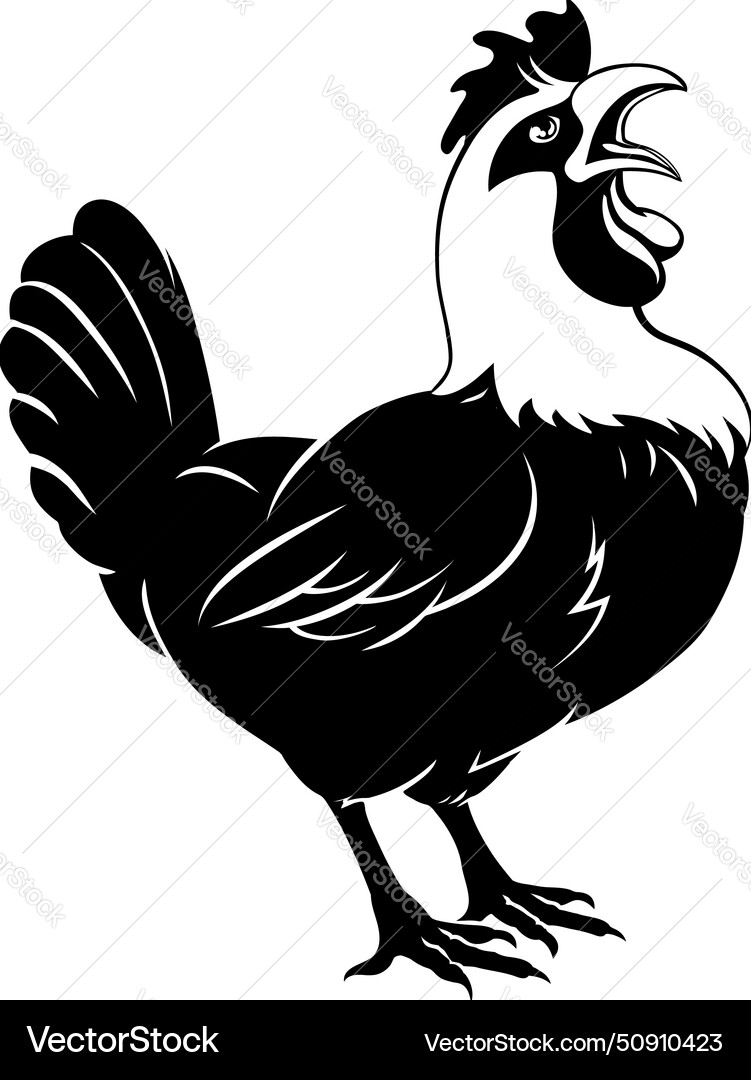 Rooster chicken crowing Royalty Free Vector Image