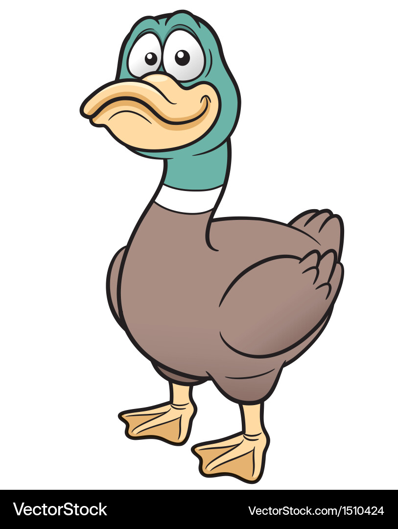Duck Royalty Free Vector Image - VectorStock