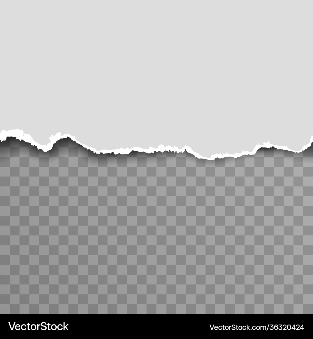 Torn paper ripped blank transparent background Vector Image