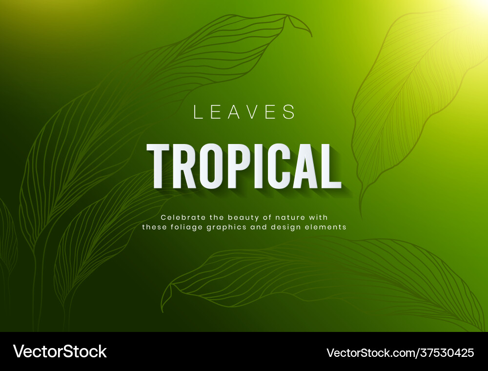 Horizontal tropical leaves banners on greenery Vector Image