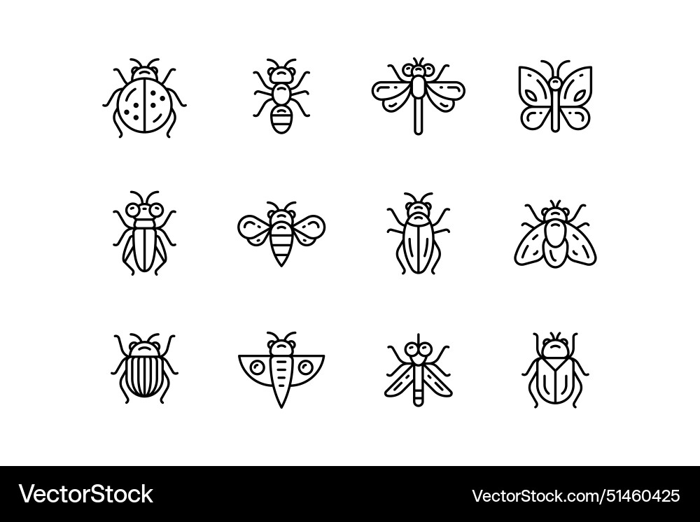 Insect icons Royalty Free Vector Image - VectorStock