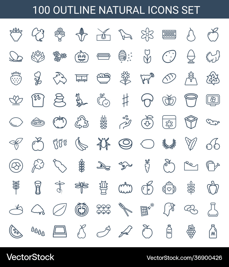 100 Natürliche Icons Lizenzfreies Vektorbild