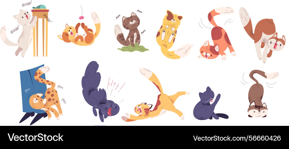 Cat behavior cats body language funny cute Vector Image