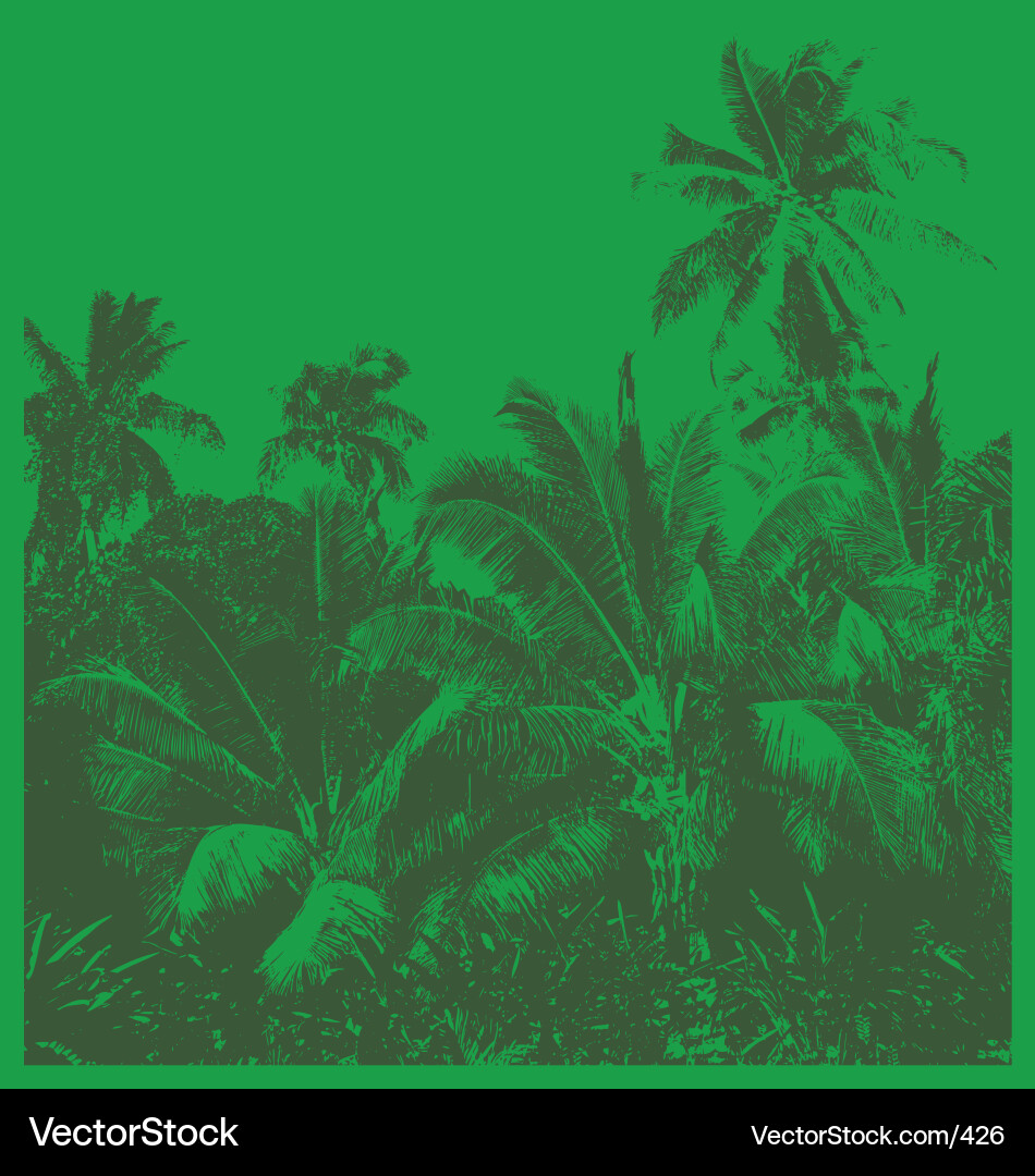 Tropical jungle Royalty Free Vector Image - VectorStock