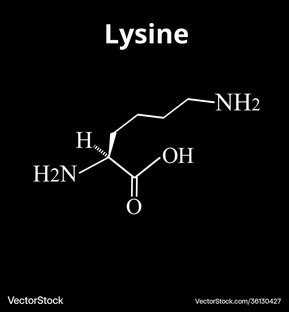 Amino acid lysine chemical molecular formula Vector Image