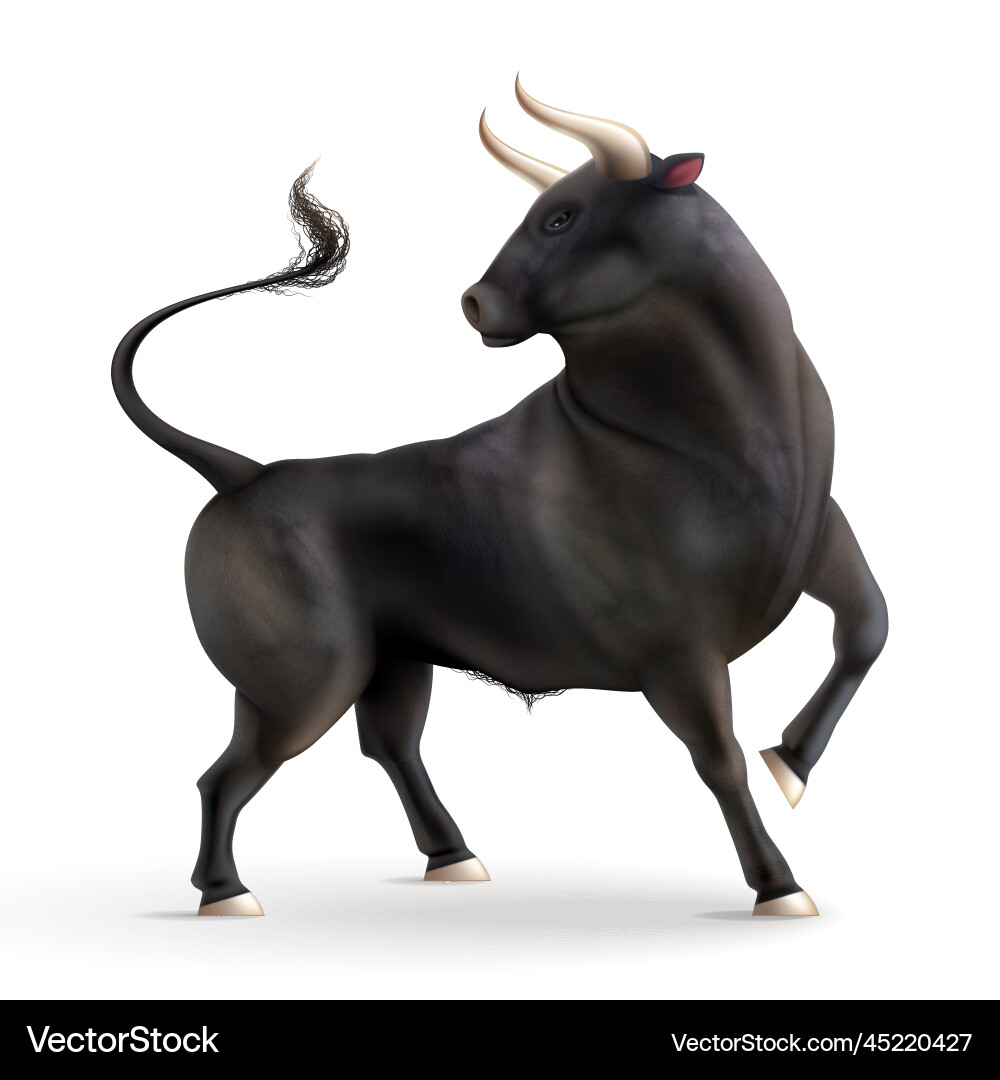 Realistic Black Bull Royalty Free Vector Image