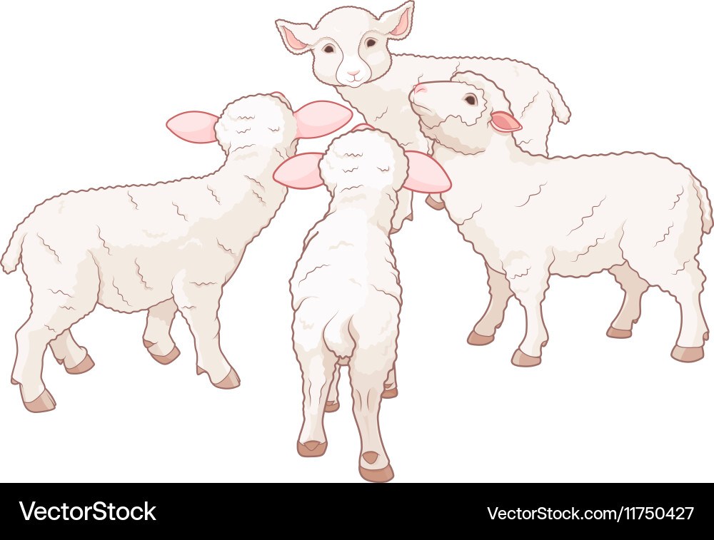 Sheep group Royalty Free Vector Image - VectorStock