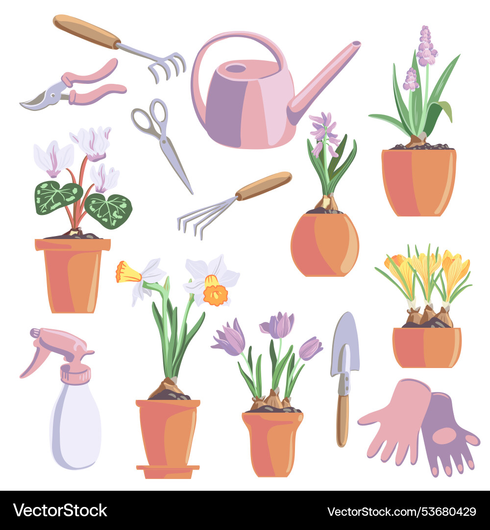 Drawing flowers in pots and garden tools Vector Image