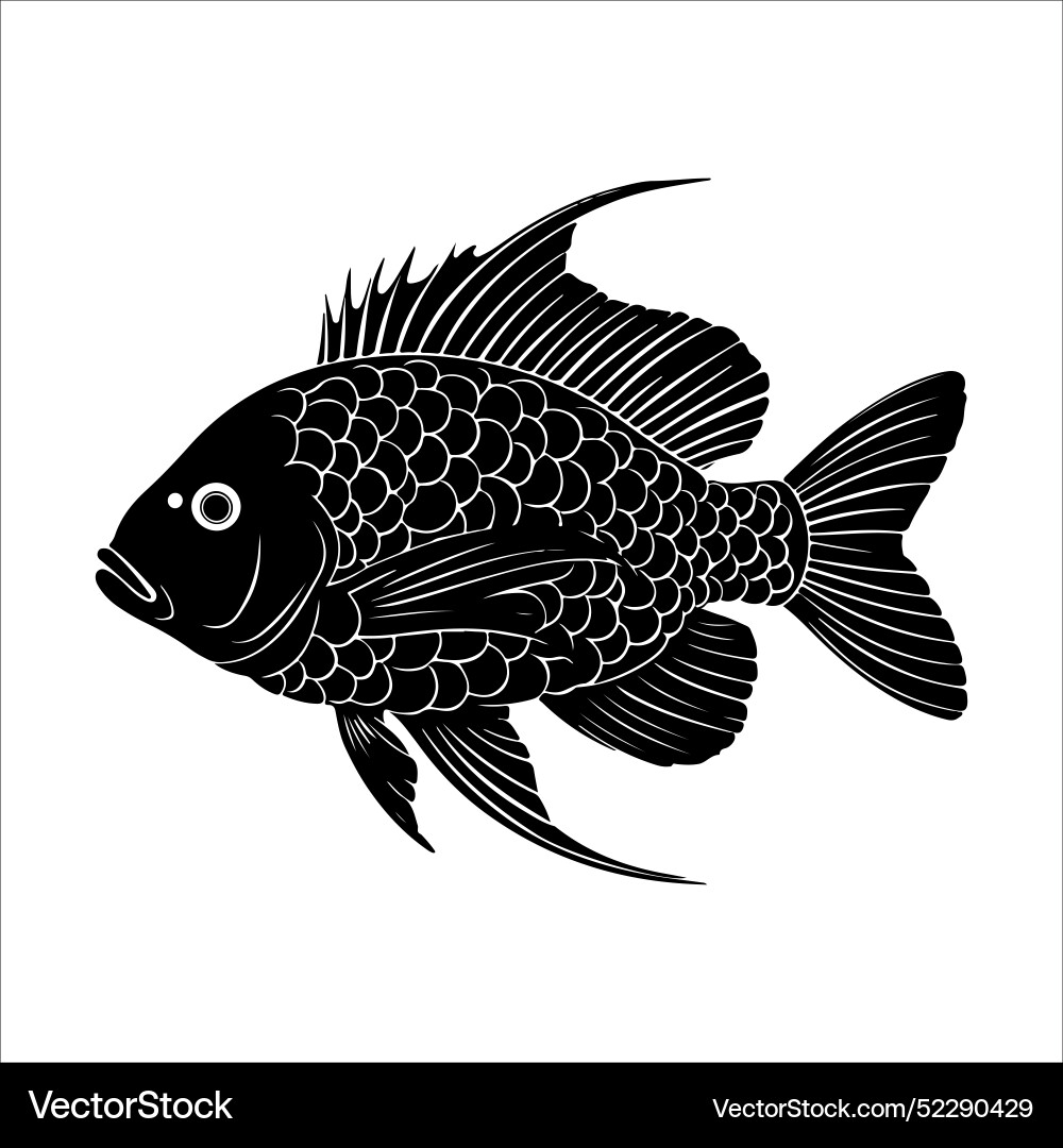Fish silhouette design Royalty Free Vector Image