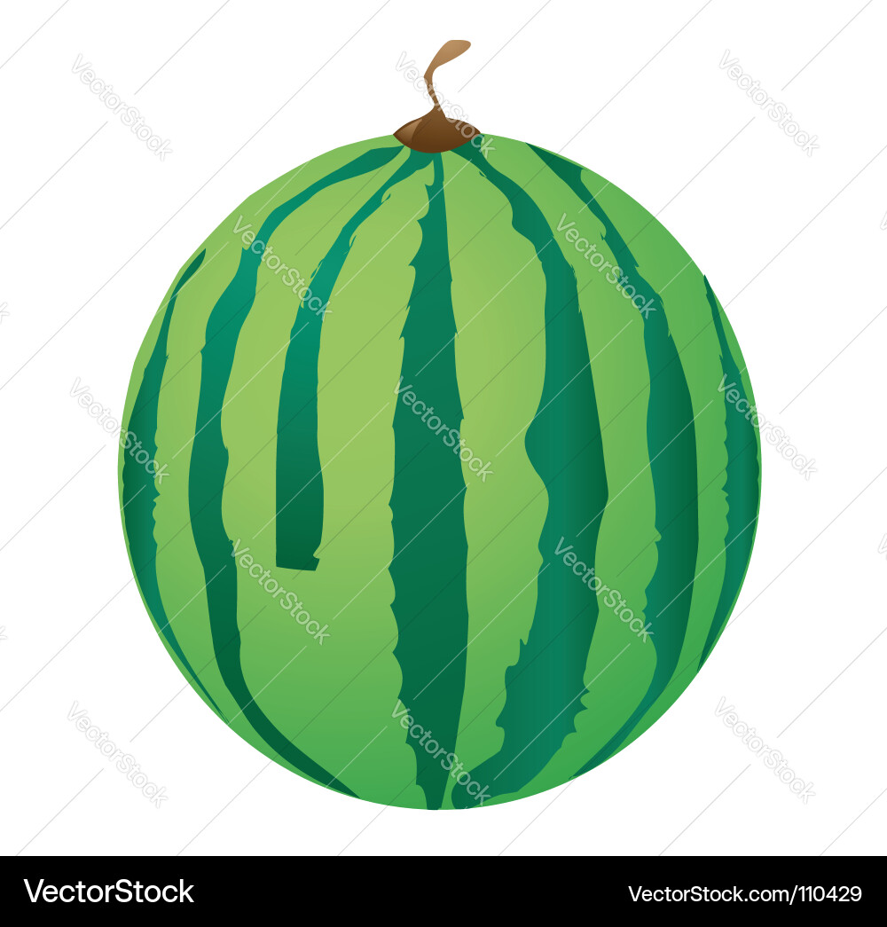 Watermelon Royalty Free Vector Image - VectorStock
