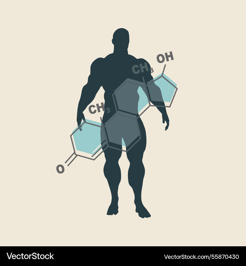 Chemical molecular formula hormone testosterone Vector Image
