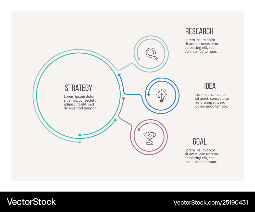 Business infographic organization chart with 3 Vector Image