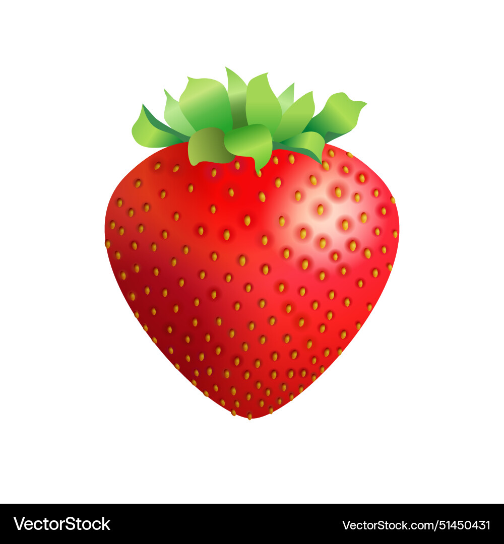 Strawberry clipart Royalty Free Vector Image - VectorStock