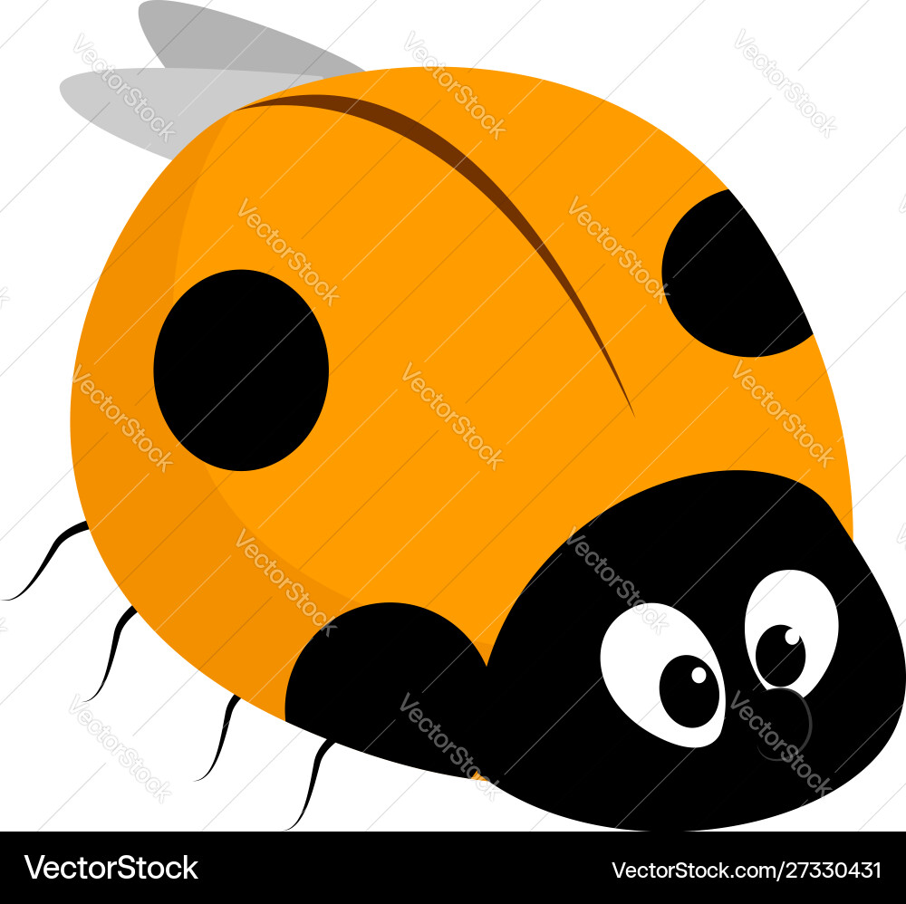 Yellow lady bug on white background Royalty Free Vector