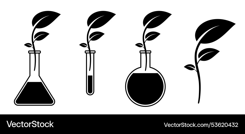 Botany experiment conical flask assay tube Vector Image