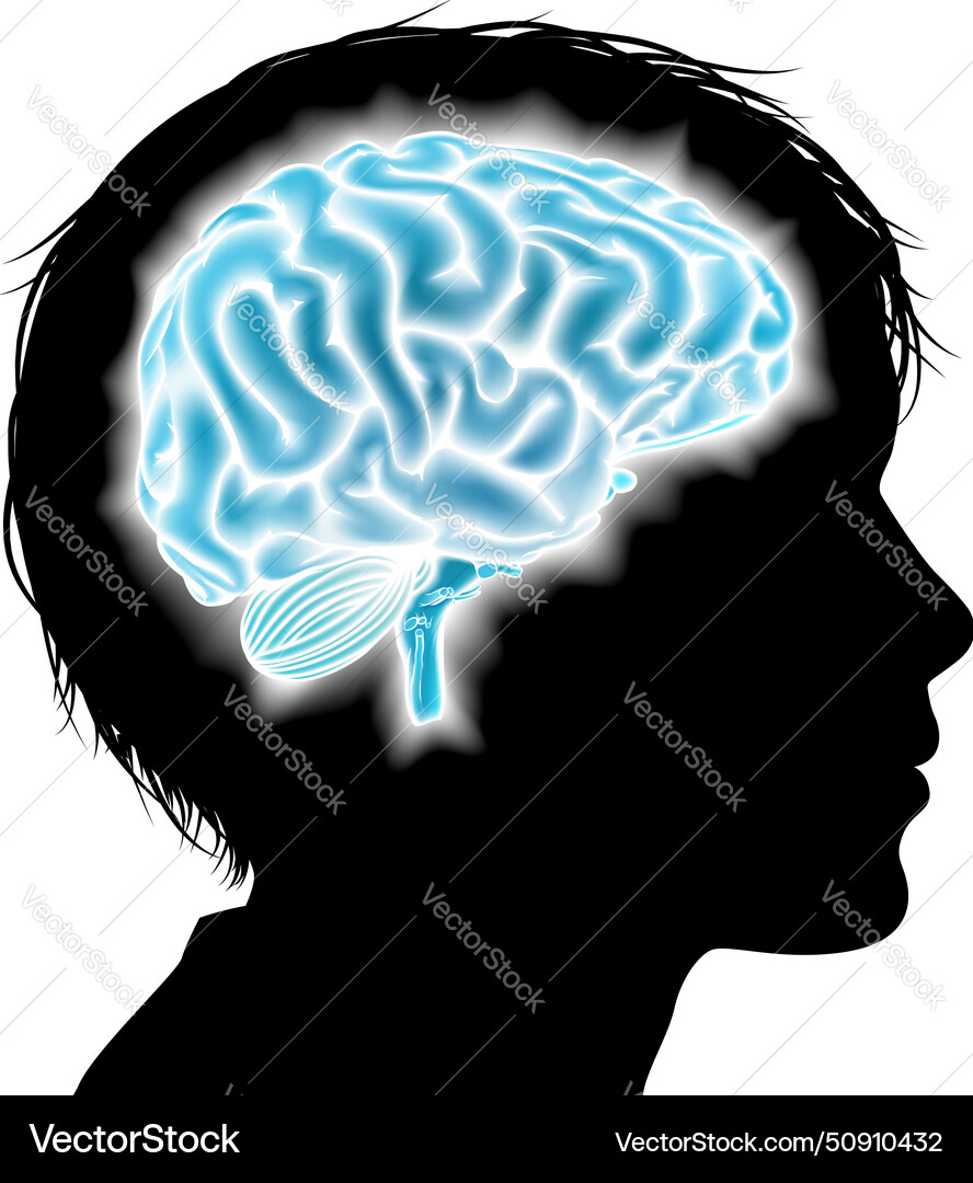 Child brain concept Royalty Free Vector Image - VectorStock
