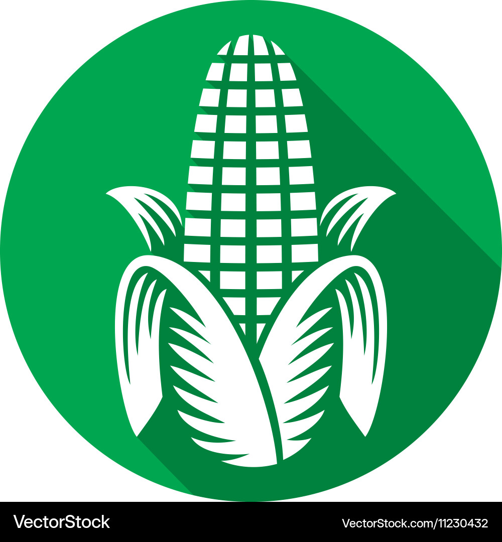 Corn icon Royalty Free Vector Image - VectorStock