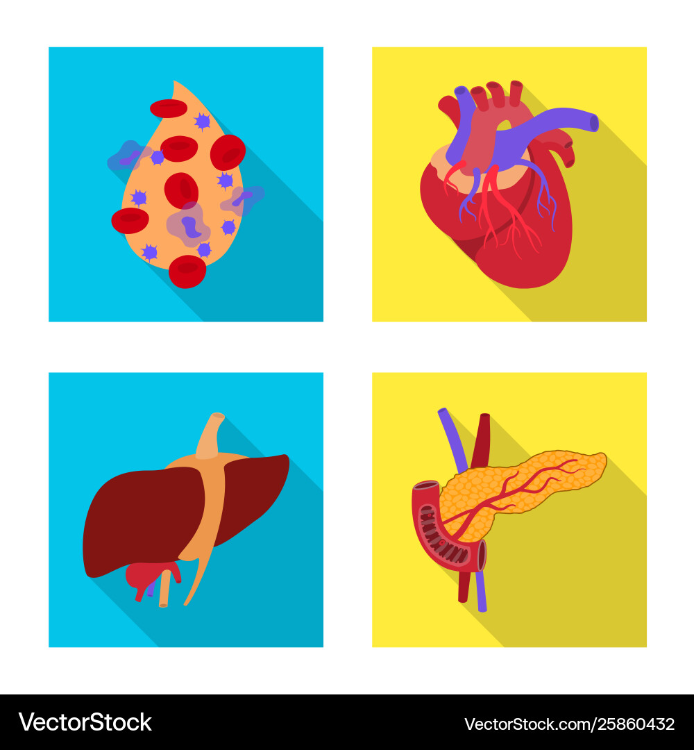 Human and health sign Royalty Free Vector Image