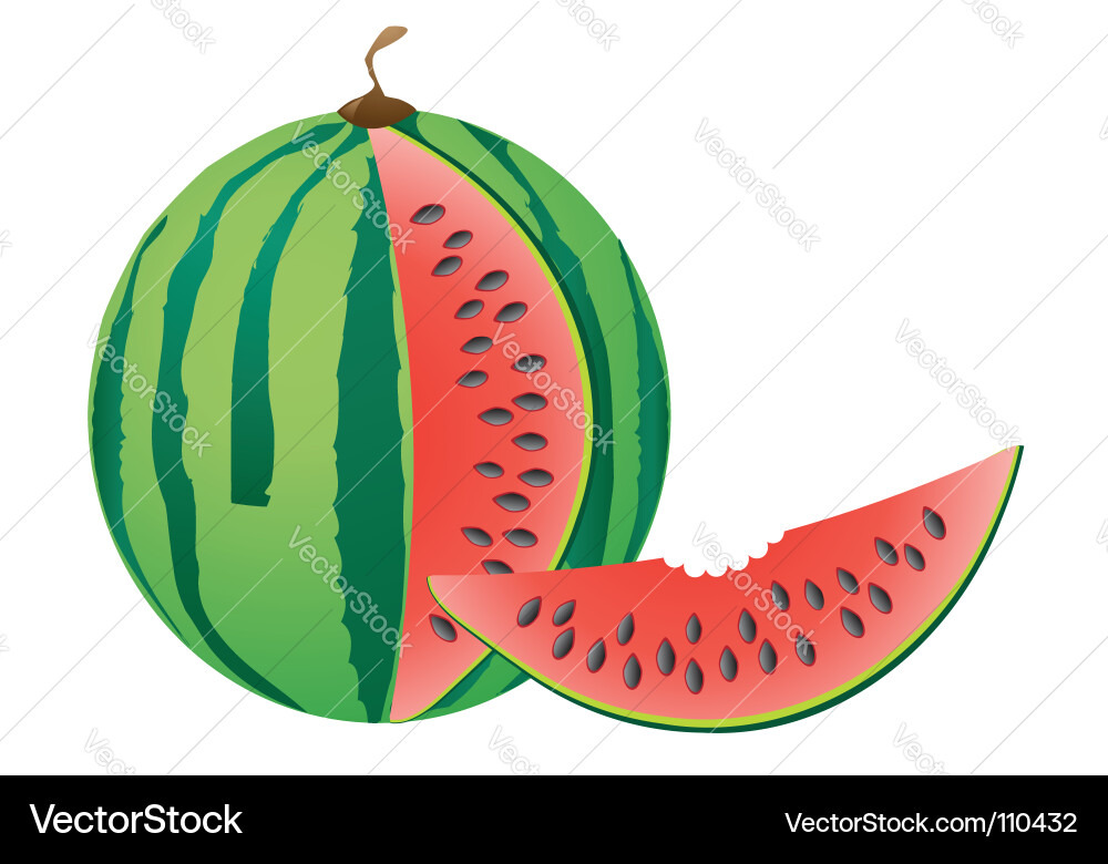Watermelon Royalty Free Vector Image - VectorStock
