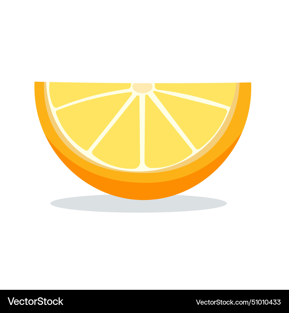 Slice of orange fruit image citrus icon Royalty Free Vector