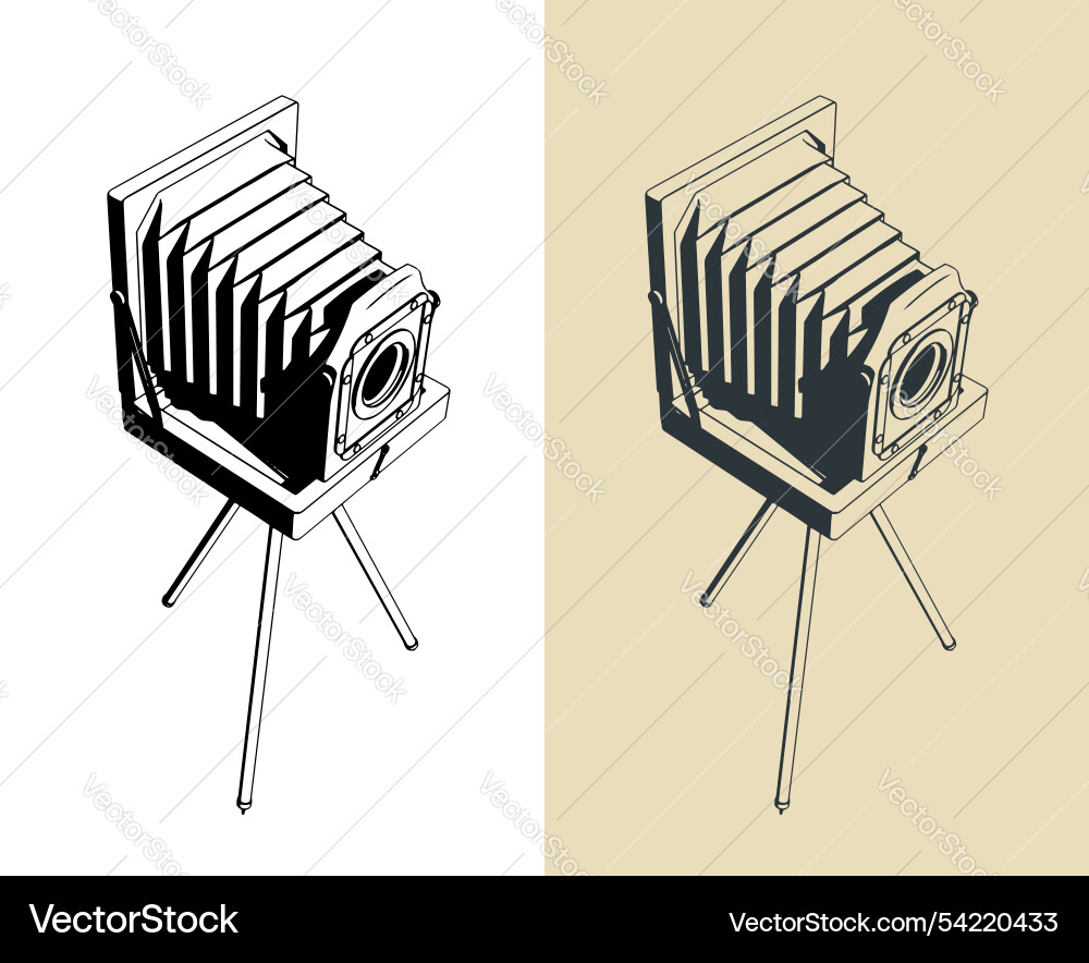 Vintage photography camera Royalty Free Vector Image