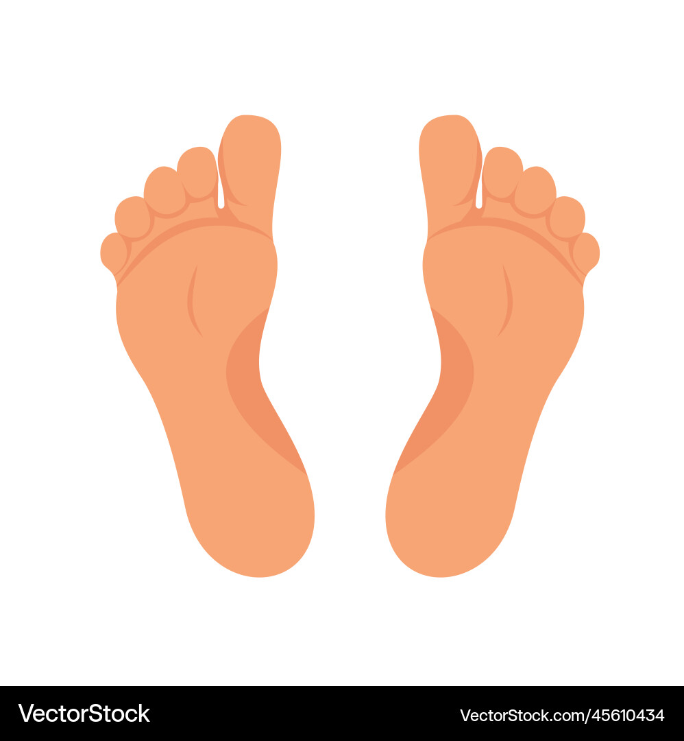 Foot Soles - Left and Right Royalty Free Vector Image