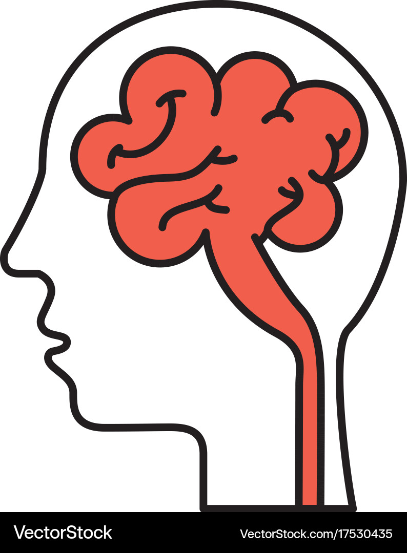 Human head and brain icon mind concept Royalty Free Vector