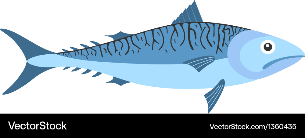 Mackerel Royalty Free Vector Image - VectorStock