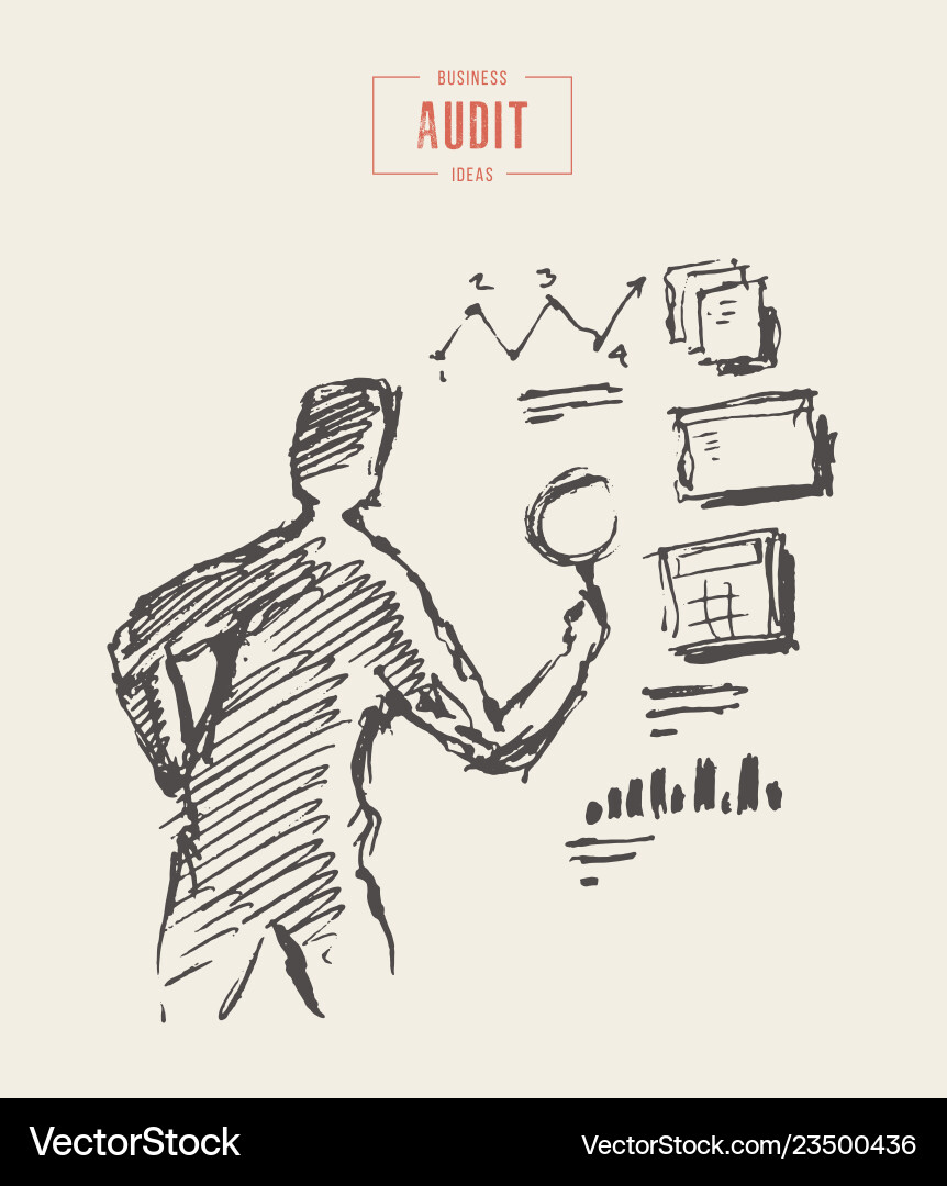 Business auditing man wall charts sketch Vector Image
