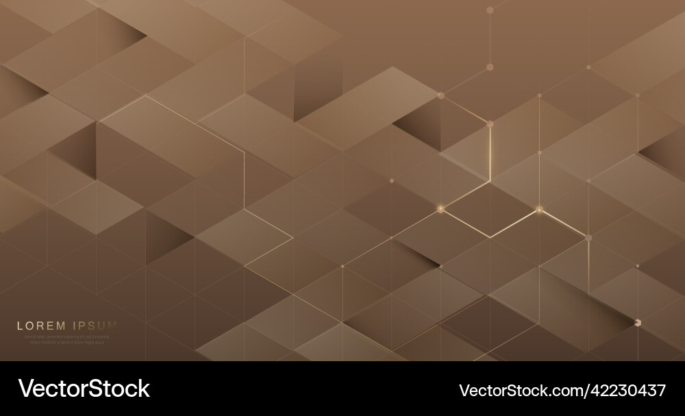 Abstract brown luxury rectangles background Vector Image