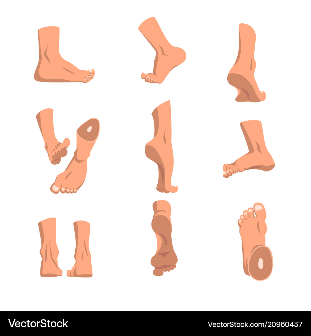Human foot in various positions set different Vector Image