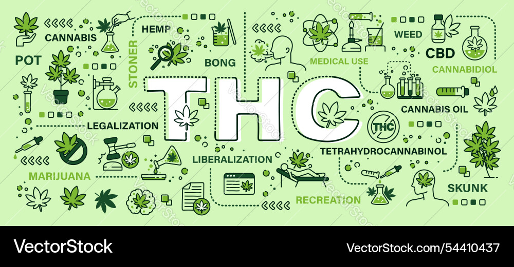 Tetrahydrocannabinol or thc cannabis extract Vector Image