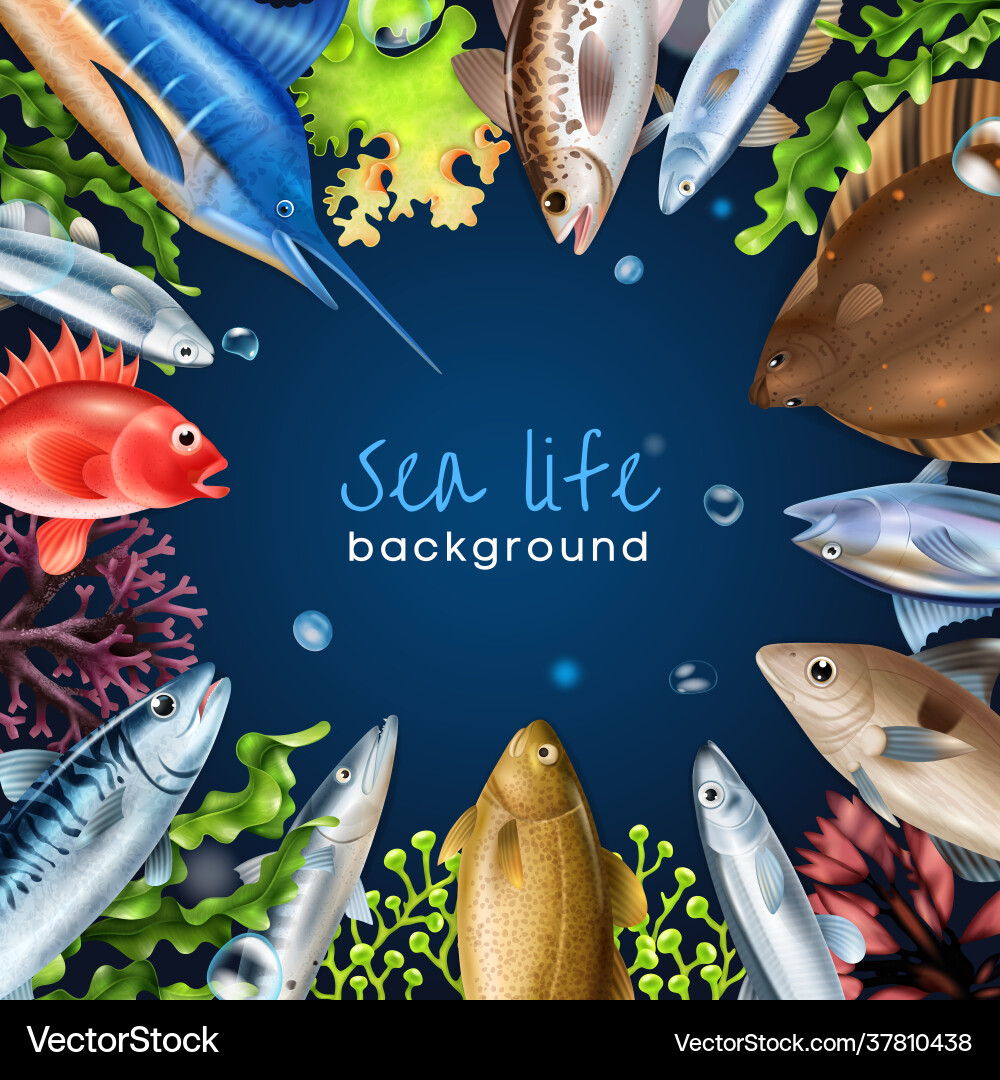Sea fish realistic frame Royalty Free Vector Image