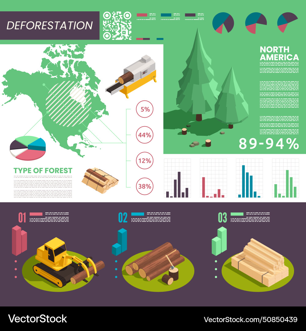 Deforestation statistics isometric infographics Vector Image