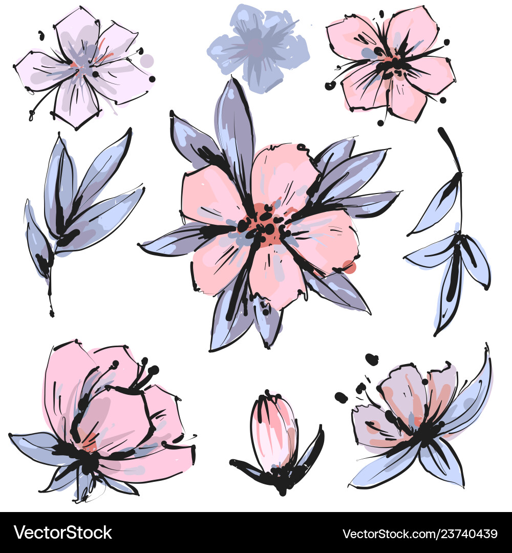 Pink Blossom Flower Set - Spring Royalty Free Vector Image