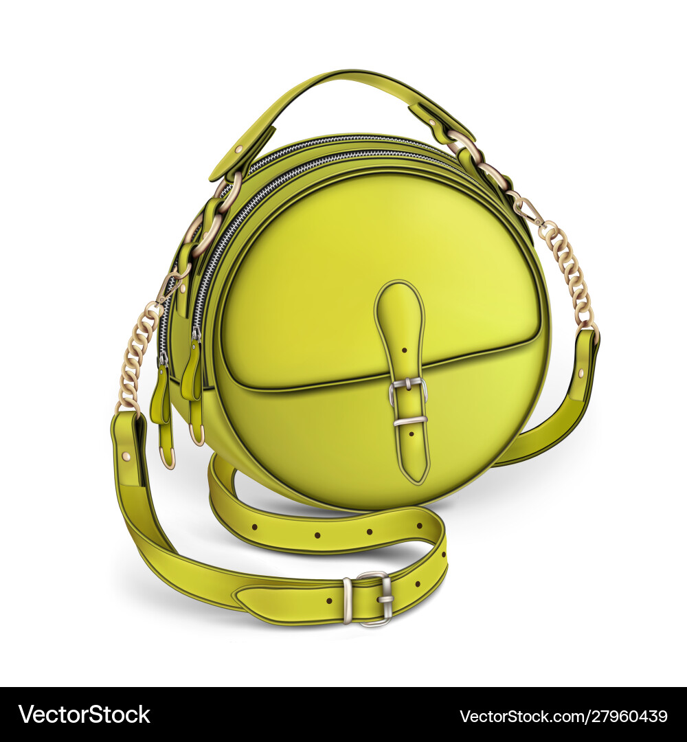 Stylish womens round yellow handbag Royalty Free Vector