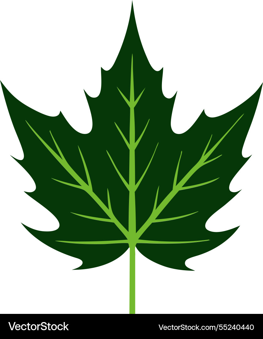 Green maple leaf design art Royalty Free Vector Image