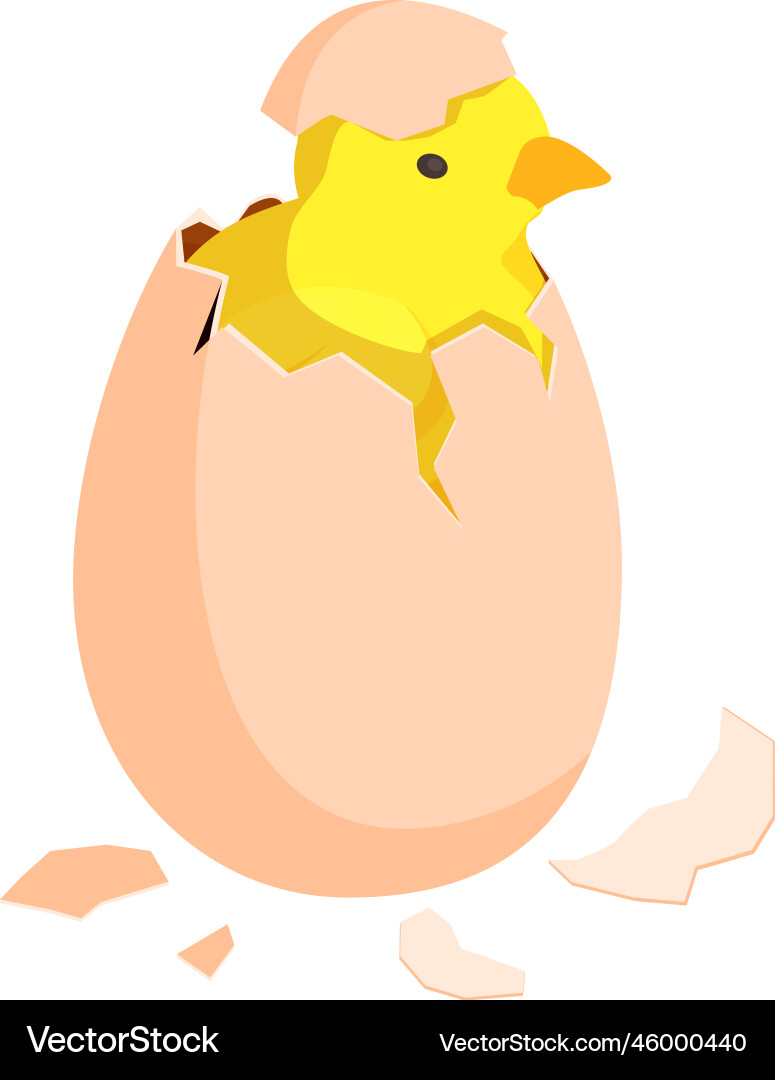 Hatched egg chick composition Royalty Free Vector Image