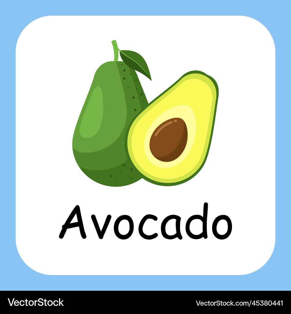 Avocado clip art for kids Royalty Free Vector Image