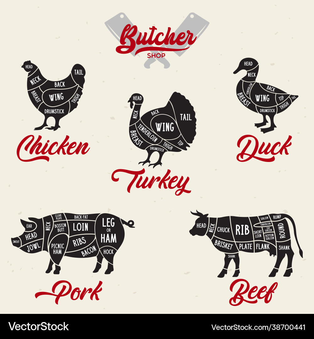 Meat Cuts & Butchery Diagrams Royalty Free Vector Image