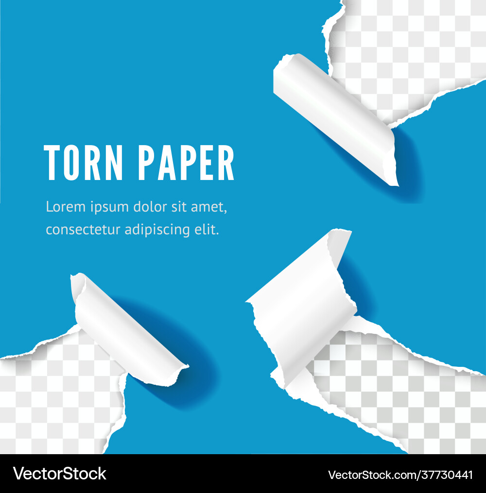 Torn paper corner effect over transparent Vector Image