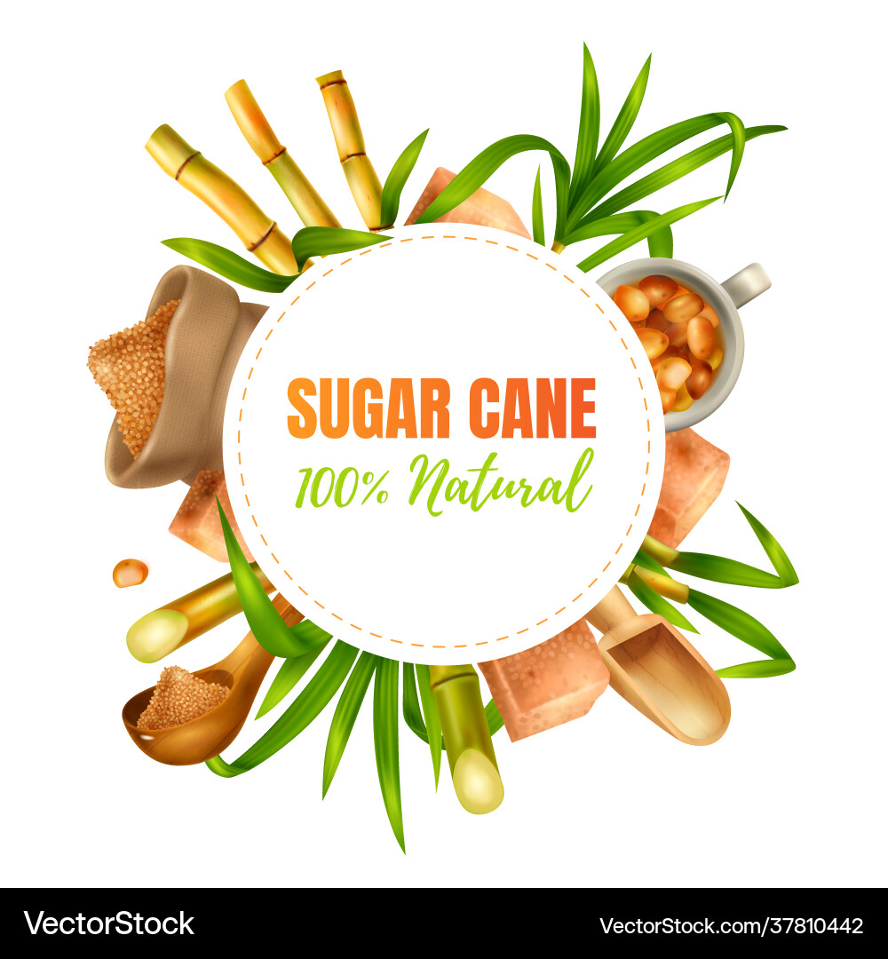 Sugar cane design concept Royalty Free Vector Image