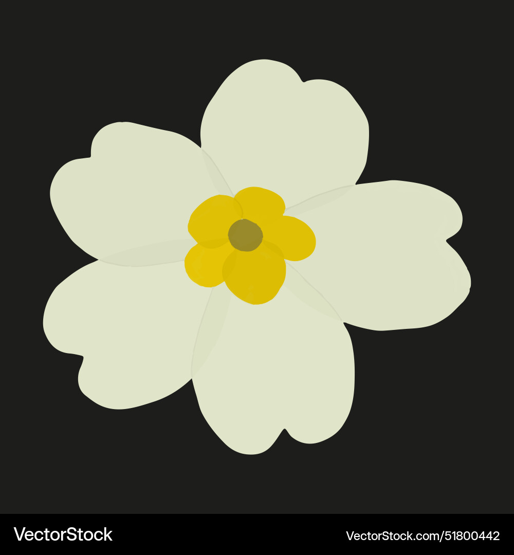 White primrose flower icon isolated on black Vector Image