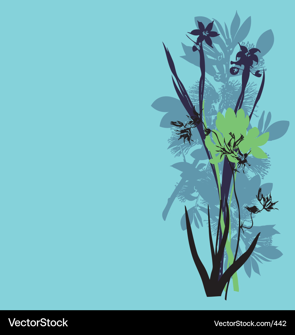 Wild flowers Royalty Free Vector Image - VectorStock