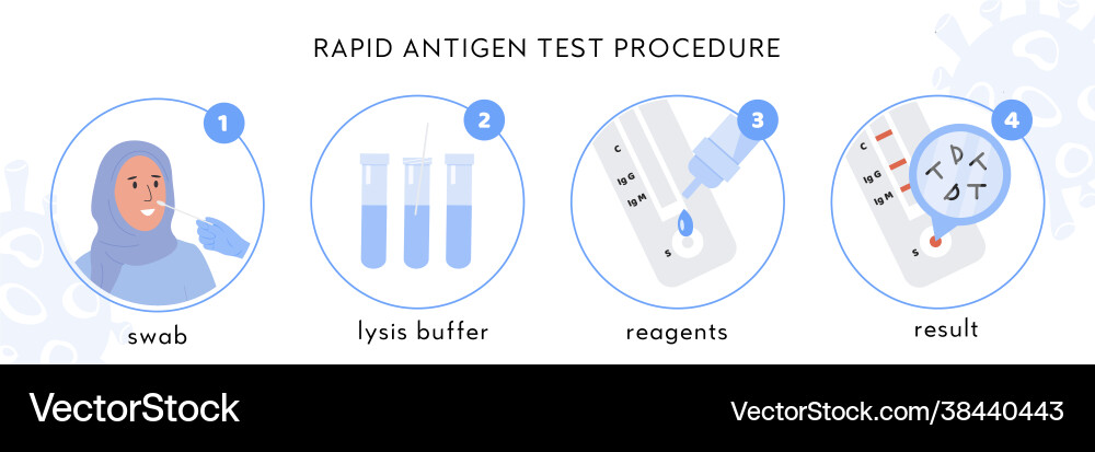 Covid19-19 rapid antigen test procedure Royalty Free Vector