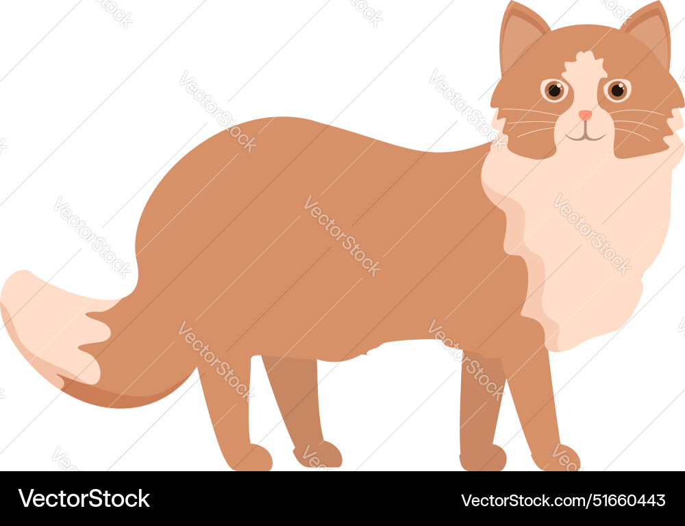 Cute ginger cat standing on white background Vector Image