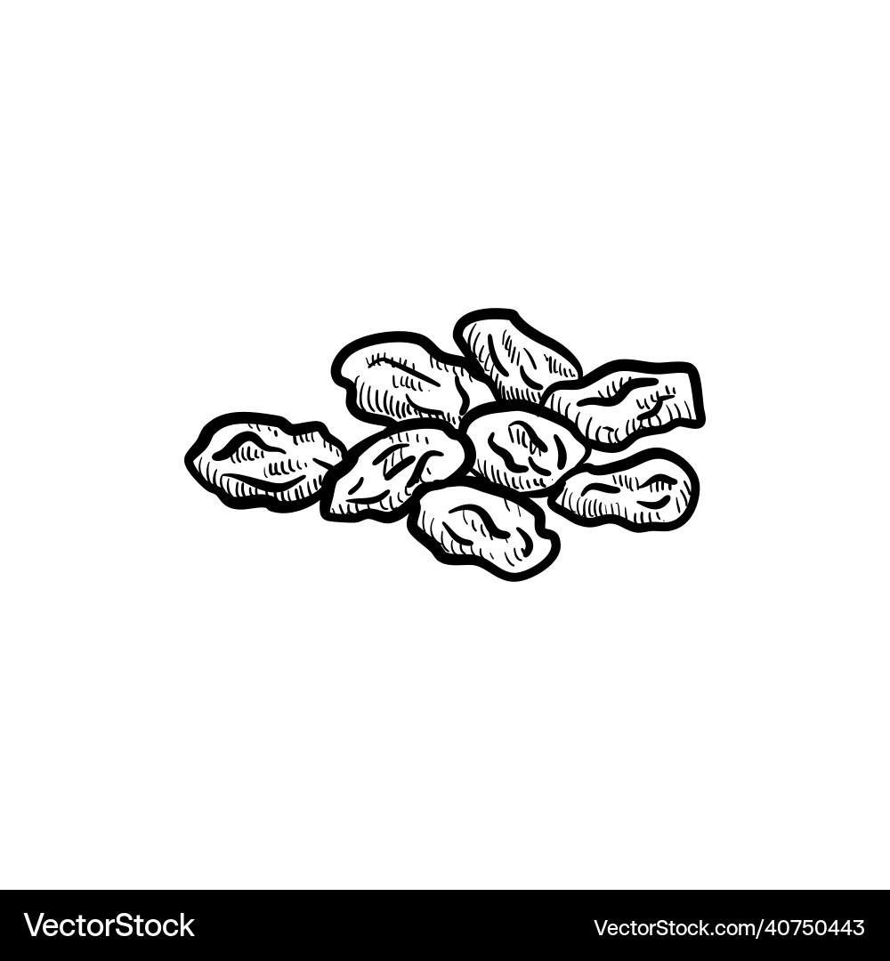 Drawing raisin at white background Royalty Free Vector Image