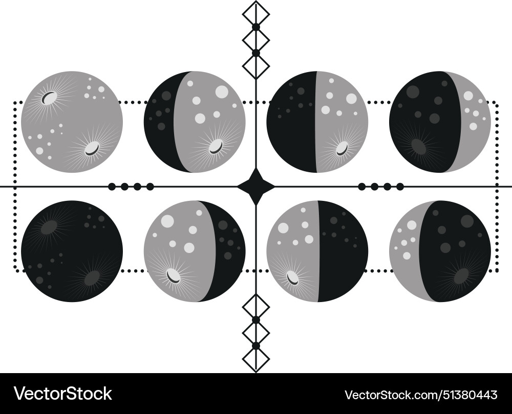Moon phases entire cycle Royalty Free Vector Image