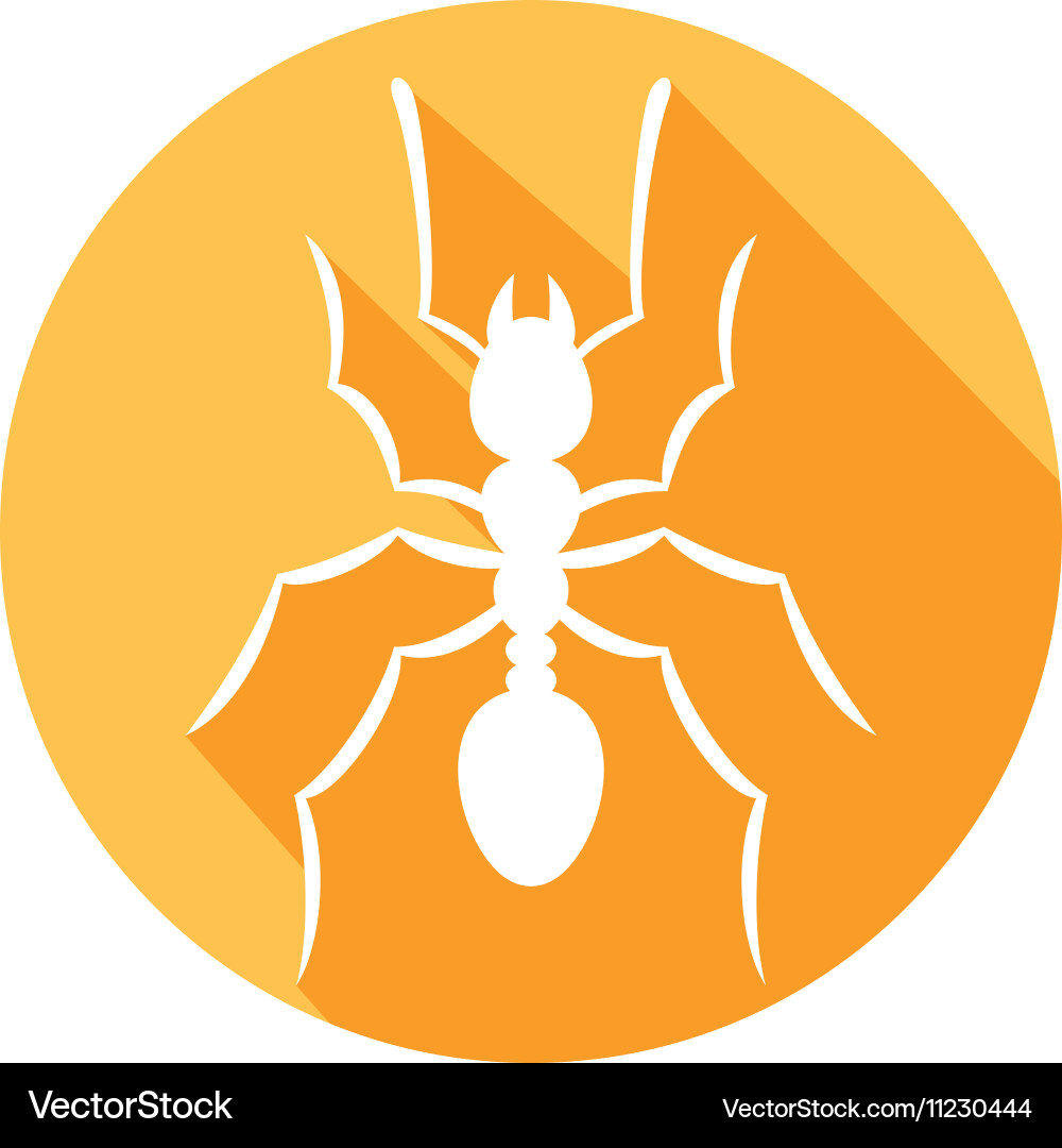 Ant Icon - Detailed Royalty Free Vector Image - VectorStock
